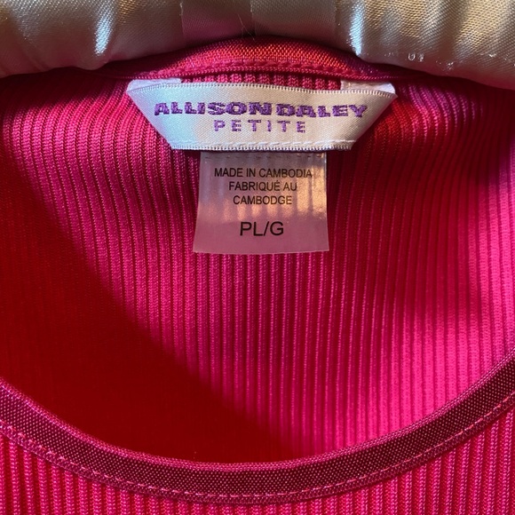 Allison Daley | Tops | Pink 4 Petite Allison Daley Top With Large ...